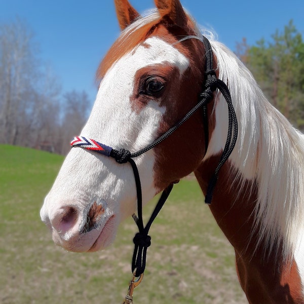 Patriotic Horse Tack - Etsy