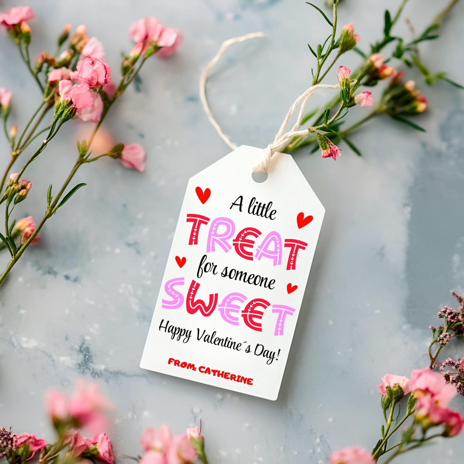 EDITABLE Valentine Gift Tags, Printable Kids Valentine Tags, Classroom ...