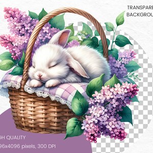 Spring Bunny in a Basket Clipart Bundle, 16 Png, Seasonal Clipart ...