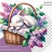 Spring Bunny in a Basket Clipart Bundle, 16 Png, Seasonal Clipart ...