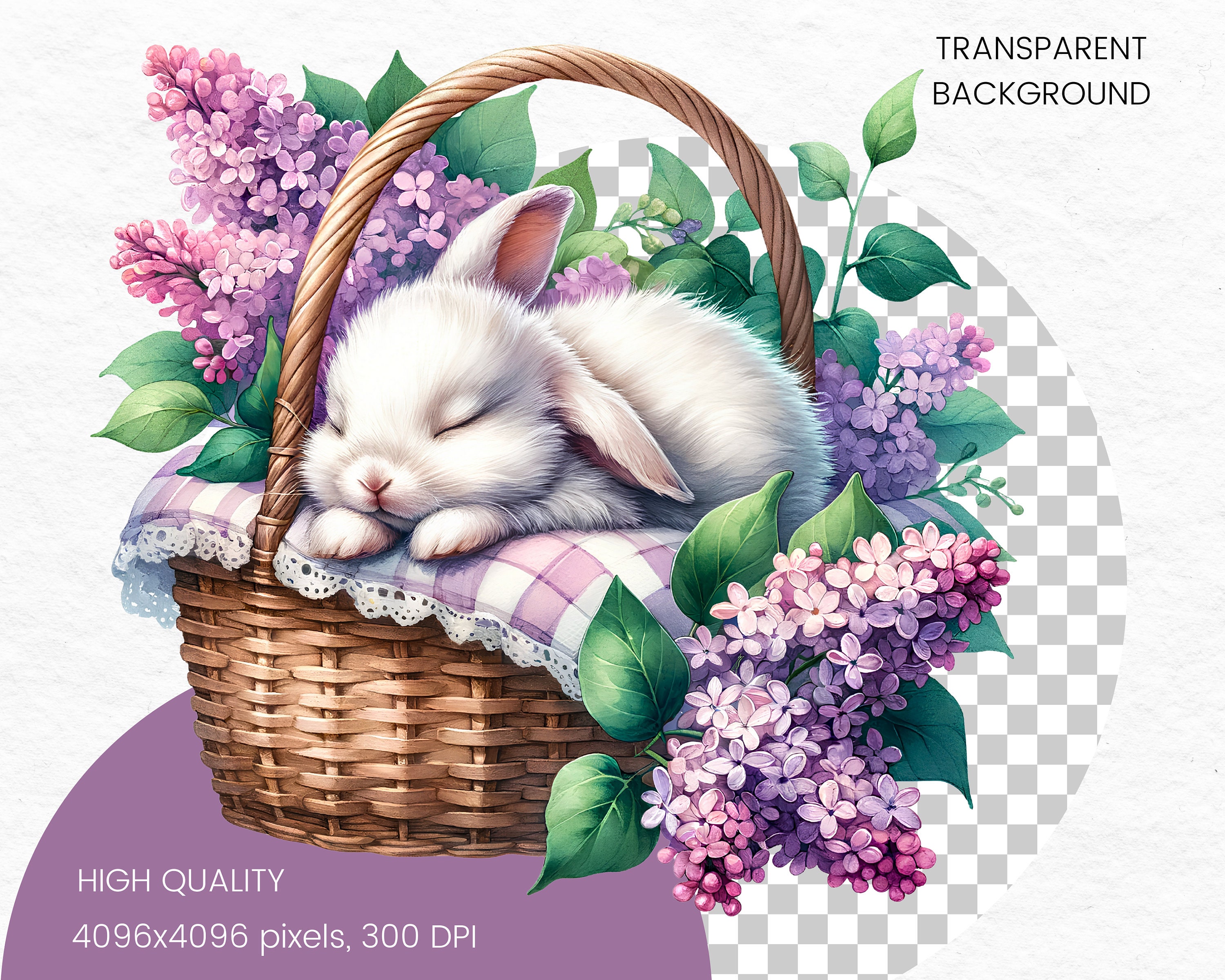 Spring Bunny in a Basket Clipart Bundle, 16 Png, Seasonal Clipart ...