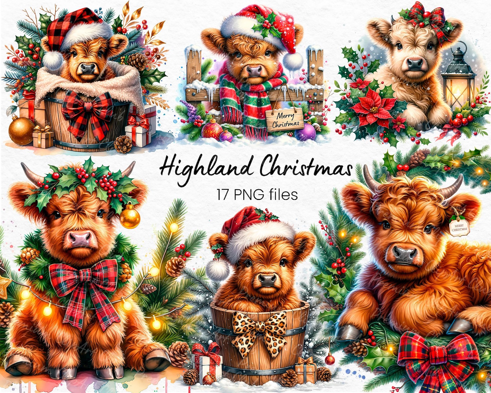 Highland Christmas Clipart Bundle Adorable Highland Cows With Festive ...