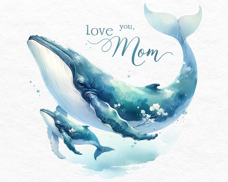 Watercolor Whale Clipart Collection for Mother's Day, Whale Nursery ...