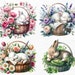 Spring Bunny in a Basket Clipart Bundle, 16 Png, Seasonal Clipart ...