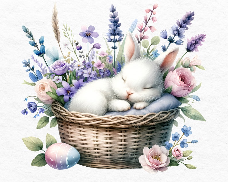 Easter Bunny in a Basket Clipart Bundle, 12 Png, Easter Clipart Bunnies ...