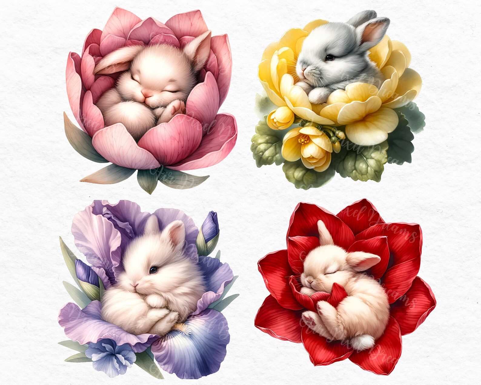 Bunnies in Bloom Clipart Bundle, 20 Png, Watercolor Bunny Graphics ...