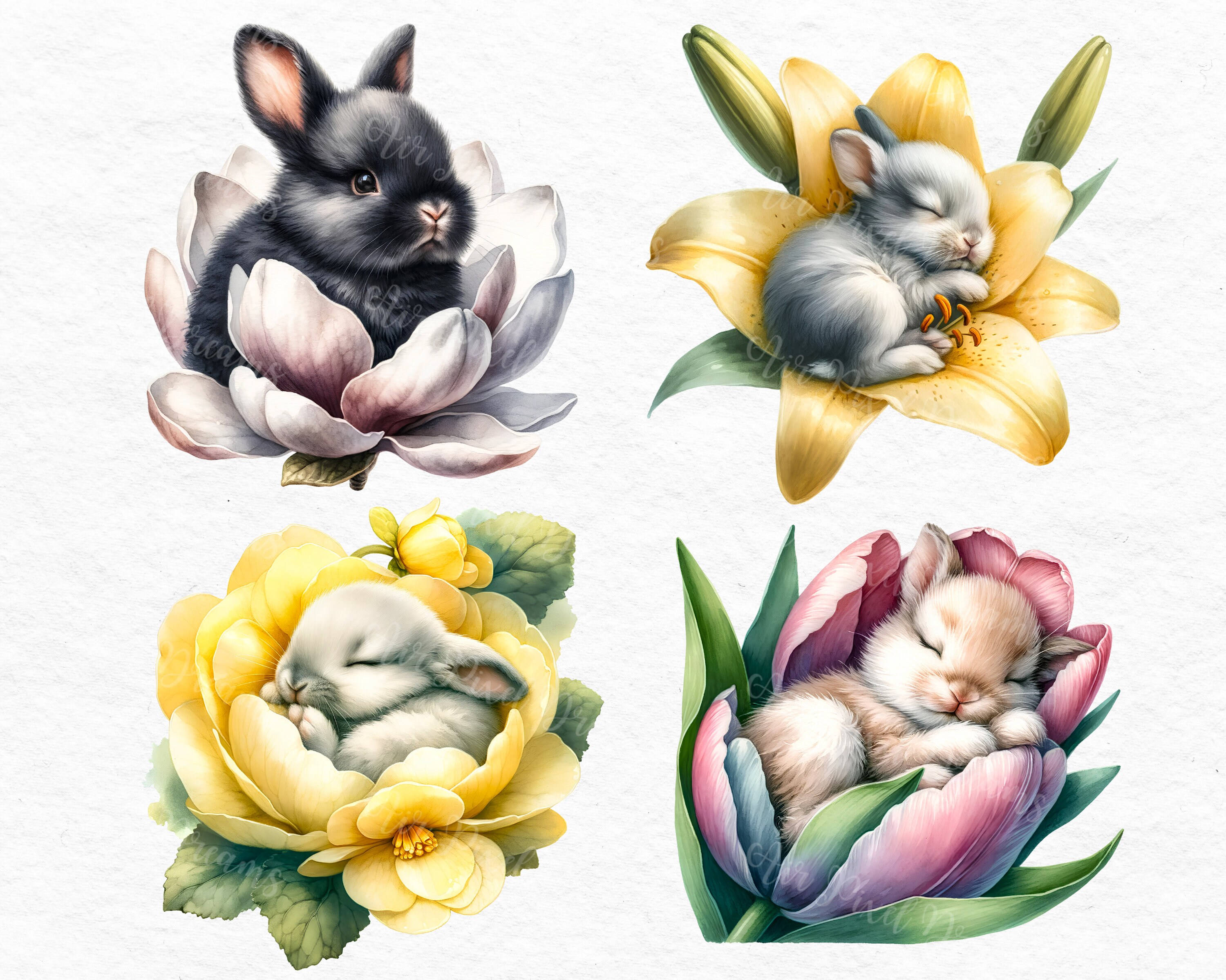Bunnies in Bloom Clipart Bundle, 20 Png, Watercolor Bunny Graphics ...