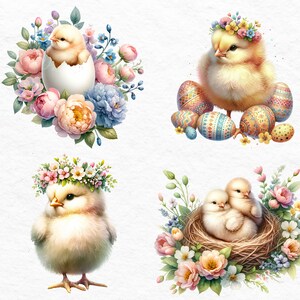 Easter Cute Chicks Clipart Bundle, 15 Png, Cute Chicken Clipart, Cute ...