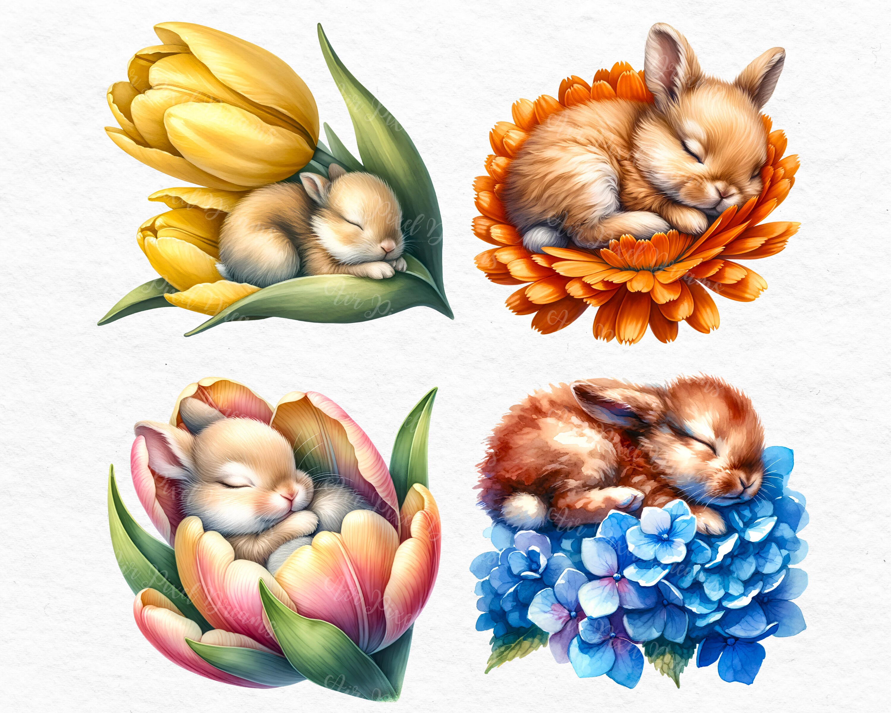 Bunnies in Bloom Clipart Bundle, 20 Png, Watercolor Bunny Graphics ...