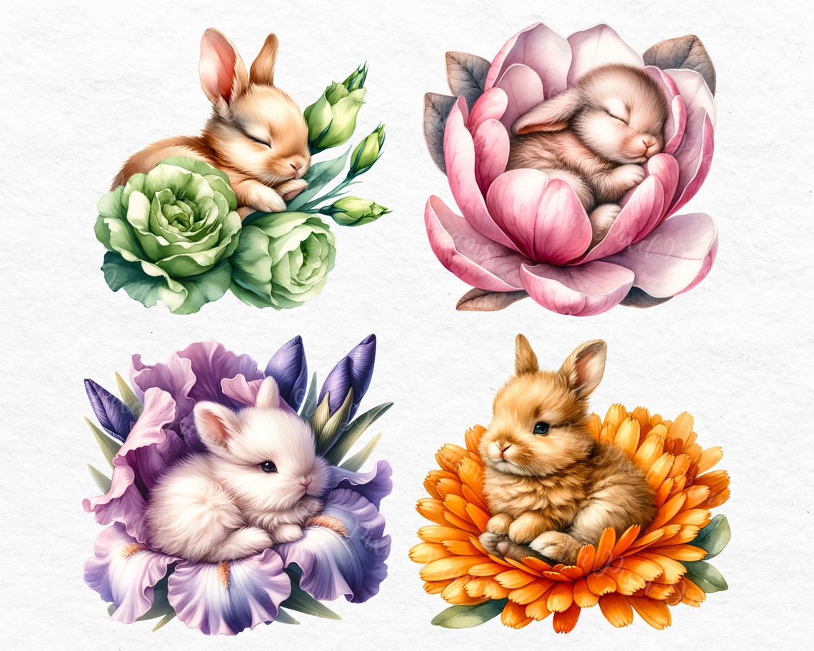 Bunnies in Bloom Clipart Bundle, 20 Png, Watercolor Bunny Graphics ...