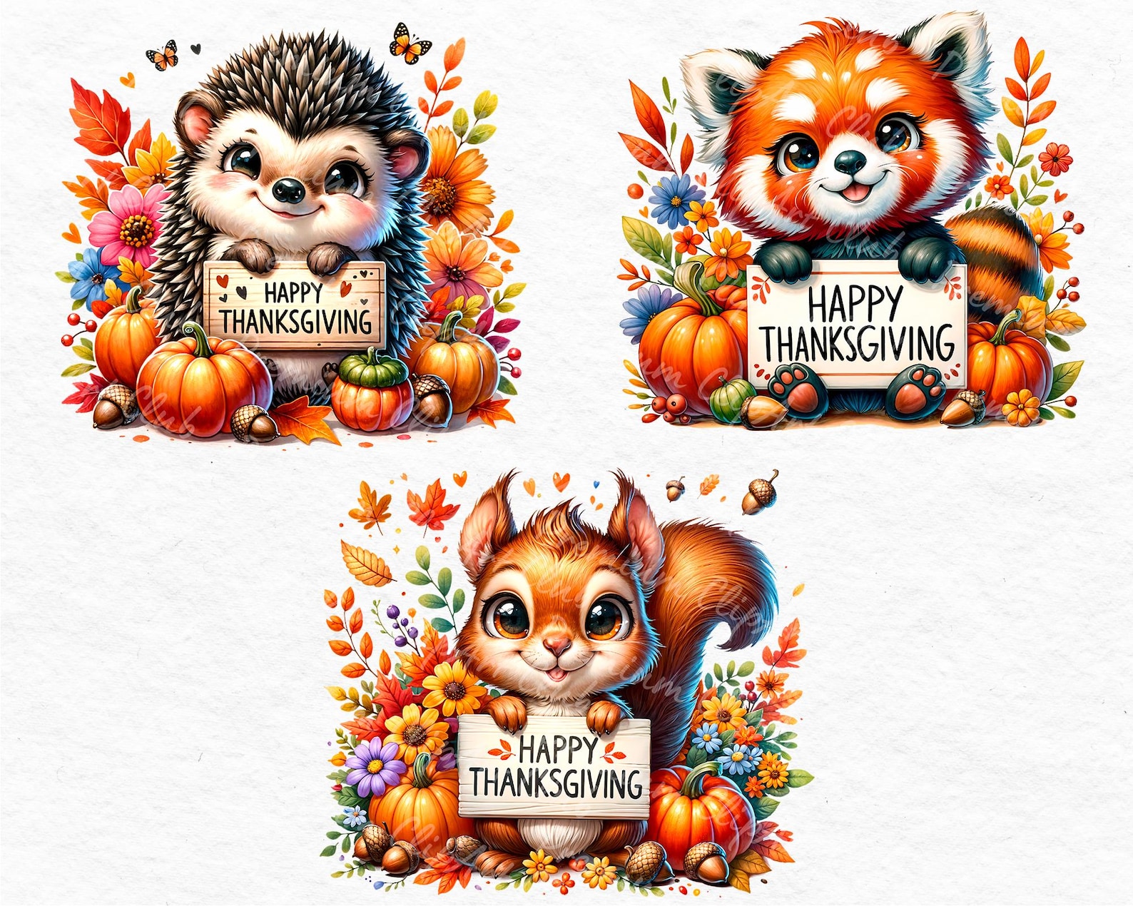 Thankful Critters Thanksgiving Bundle 11 Cute Fall Animal Pngs Woodland ...
