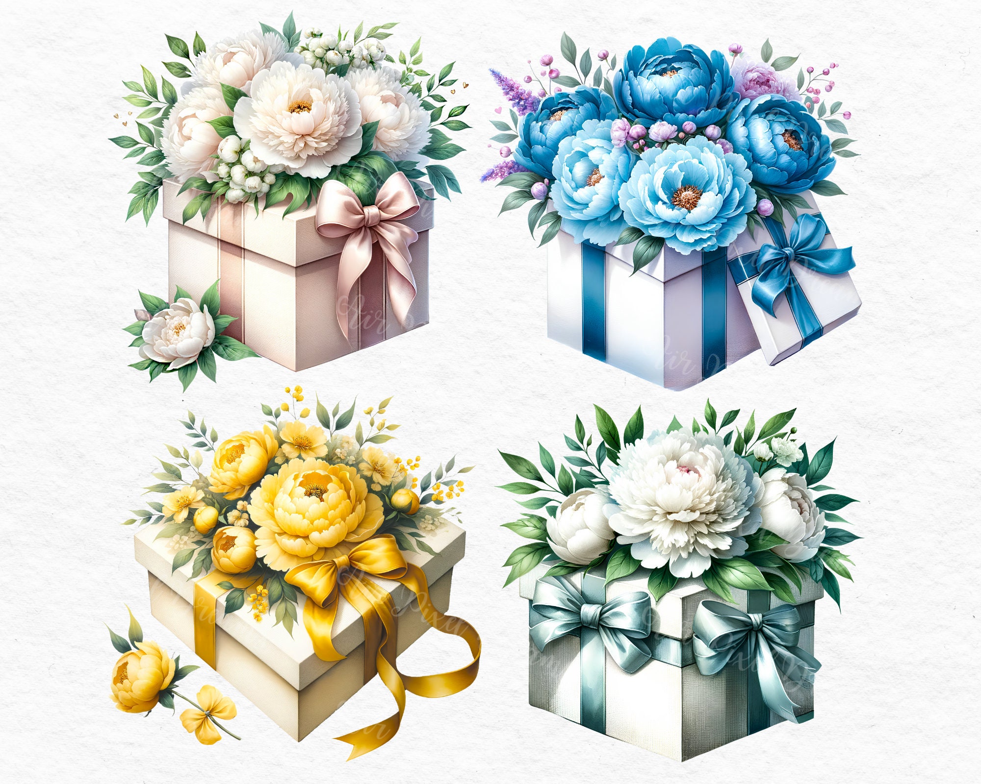 Watercolor Peonies Gift Box Clipart Collection, 22 PNG Files,floral ...