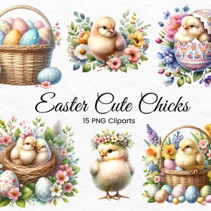 Easter Cute Chicks Clipart Bundle, 15 Png, Cute Chicken Clipart, Cute ...