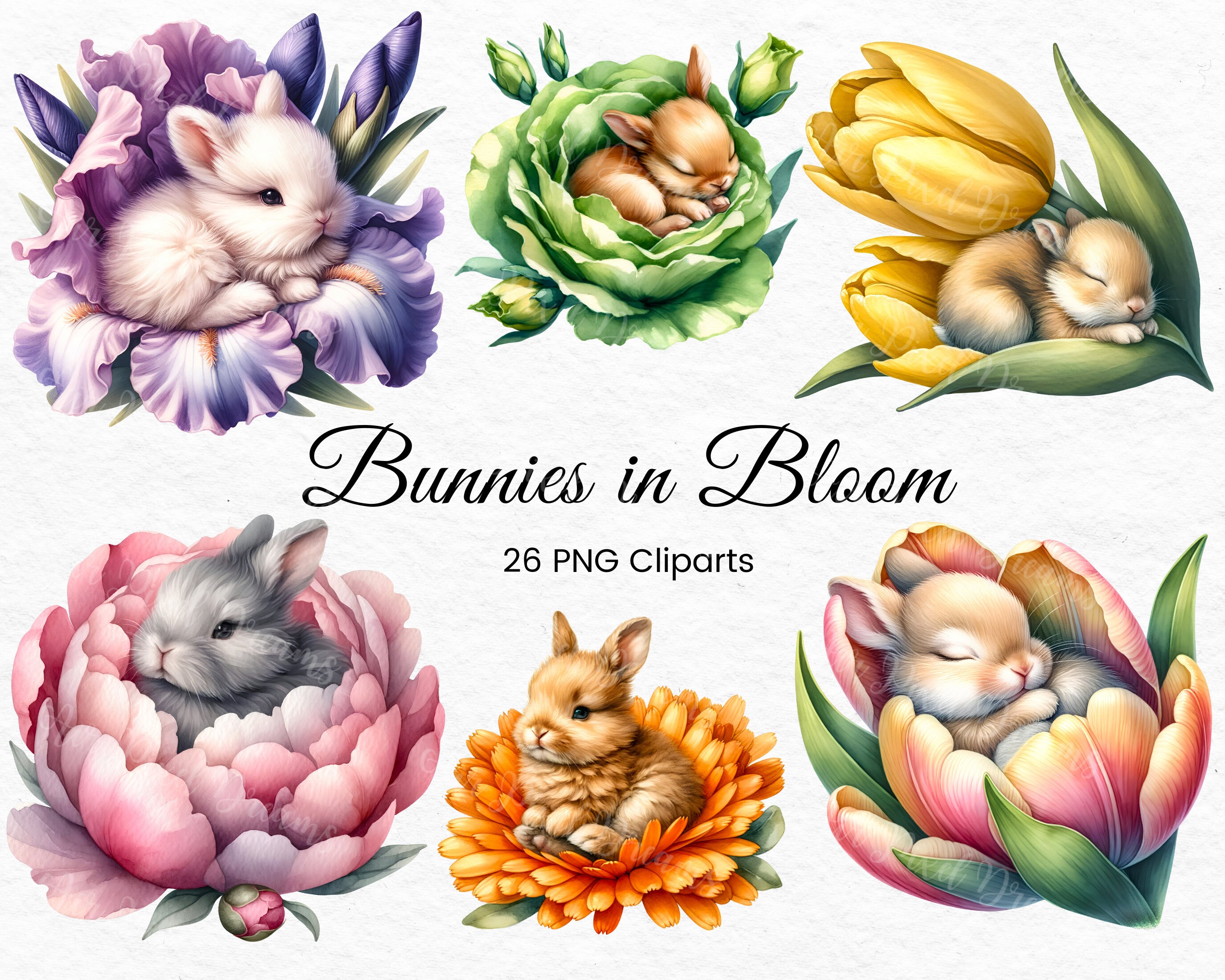 Bunnies in Bloom Clipart Bundle, 20 Png, Watercolor Bunny Graphics ...
