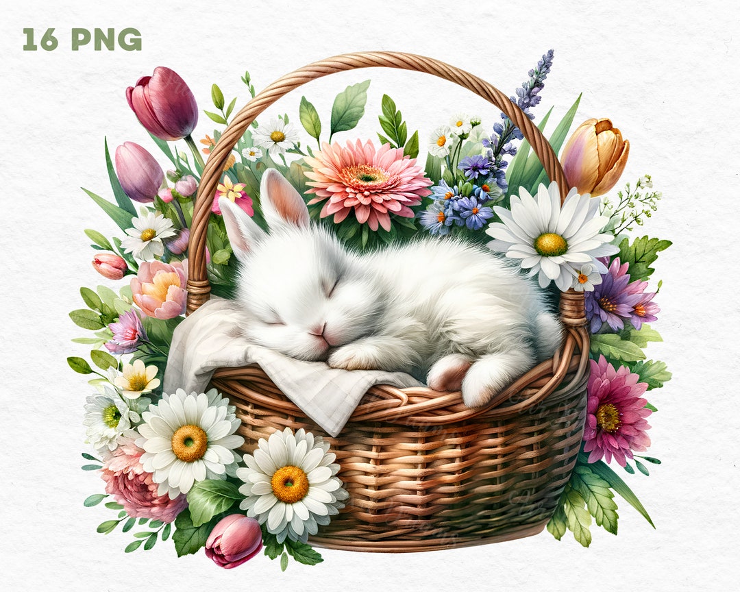 Spring Bunny in a Basket Clipart Bundle, 16 Png, Seasonal Clipart ...