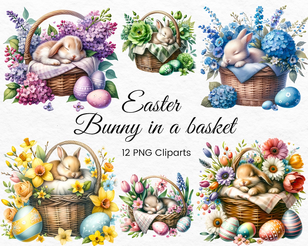 Easter Bunny in a Basket Clipart Bundle, 12 Png, Easter Clipart Bunnies ...