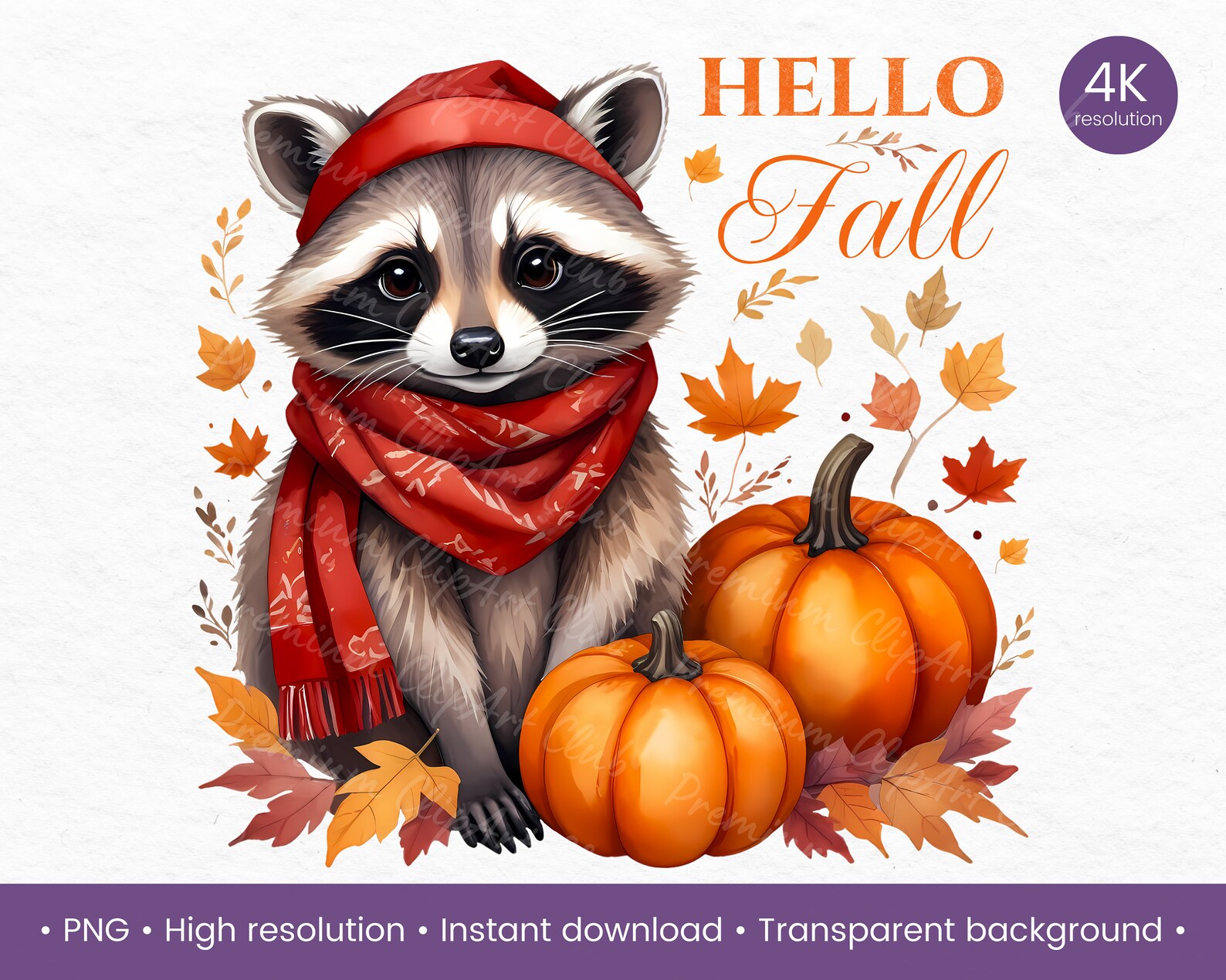 Hello Fall - Cute Raccoon With Pumpkins and Autumn Leaves PNG Clipart ...