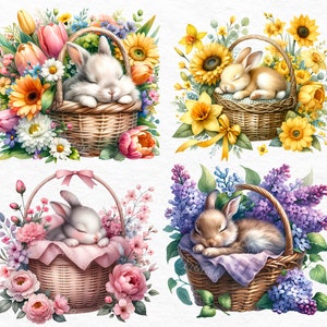 Spring Bunny in a Basket Clipart Bundle, 16 Png, Seasonal Clipart ...