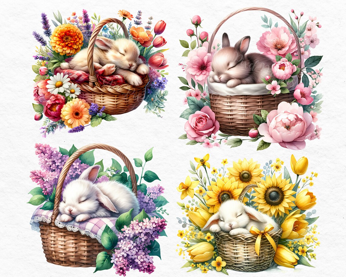 Spring Bunny in a Basket Clipart Bundle, 16 Png, Seasonal Clipart ...
