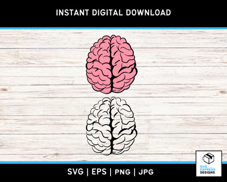 Brain Silhouette PNG: Detailed Mind Design for Thinkers, Creatives ...