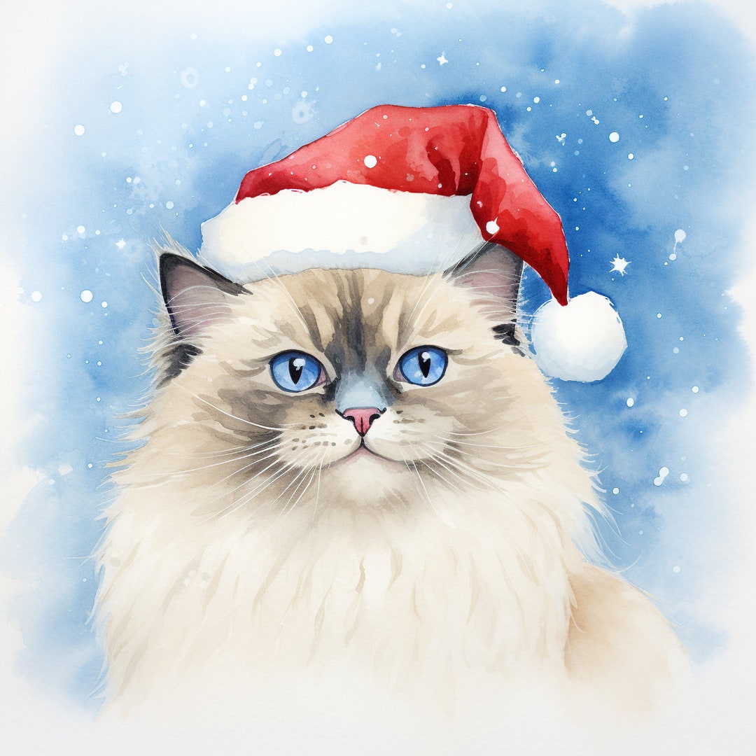 Ragdoll Cat Christmas Portrait - Etsy