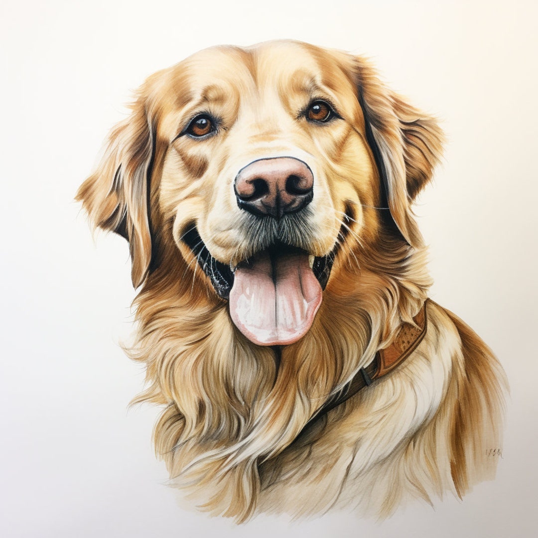 Golden Retriever Portrait - Etsy