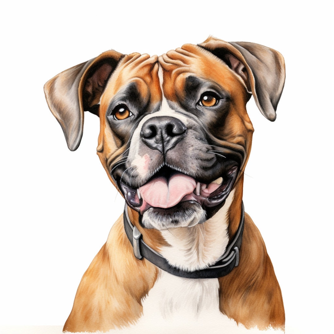 Boxer Portrait - Etsy