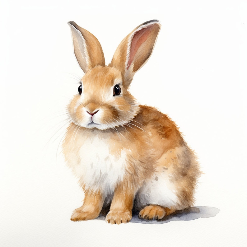 Netherlands Dwarf Bunny Portrait - Etsy