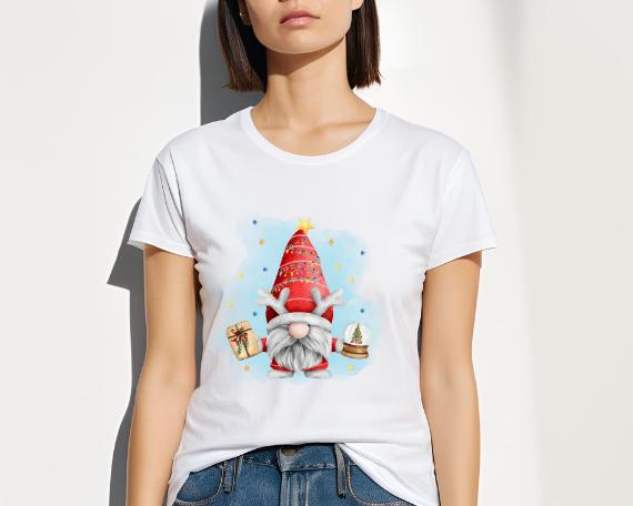 Santa Clause Gnomes Png, Christmas Png, Gnomes Png, Christmas Gnomes ...