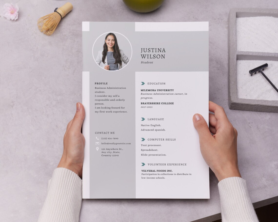 Editable Resume Template Customizable CV Template Modern Editable CV ...