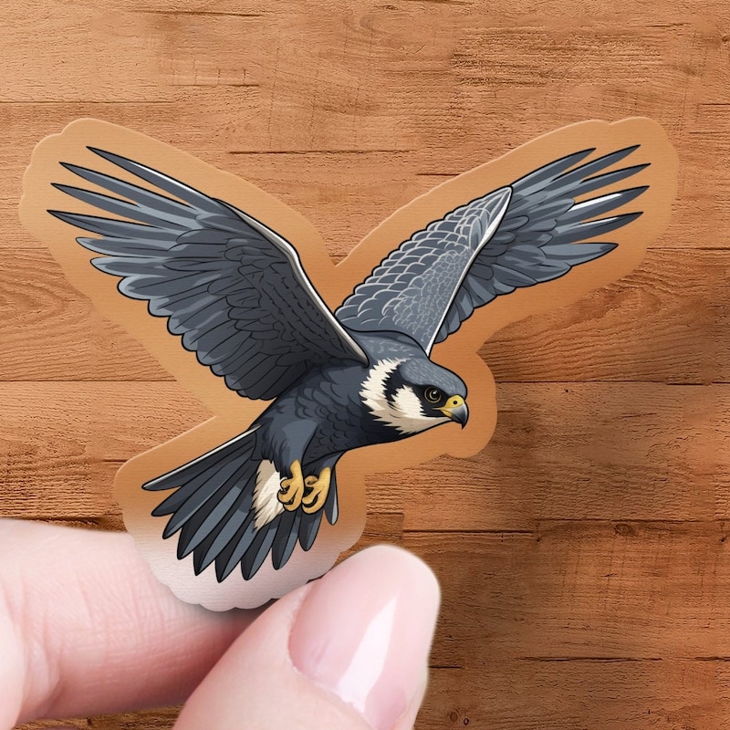 Peregrine Falcon - Etsy