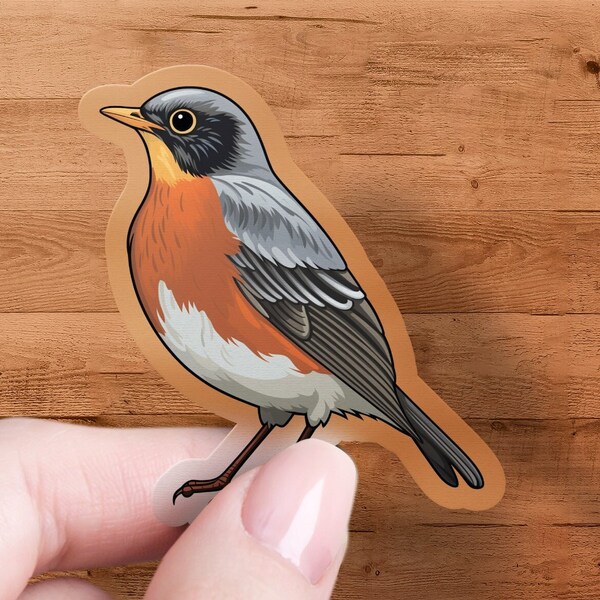 Robin Decal - Etsy