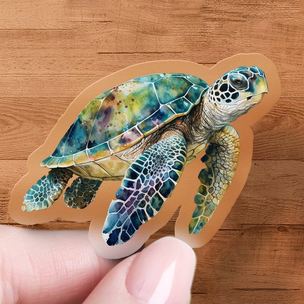 Turtle Decal - Etsy