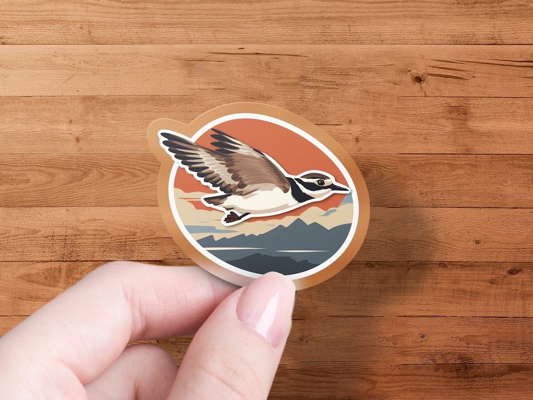 Killdeer Sticker, Bird Watcher Decal, Laptop, Car Window Decal, Water ...