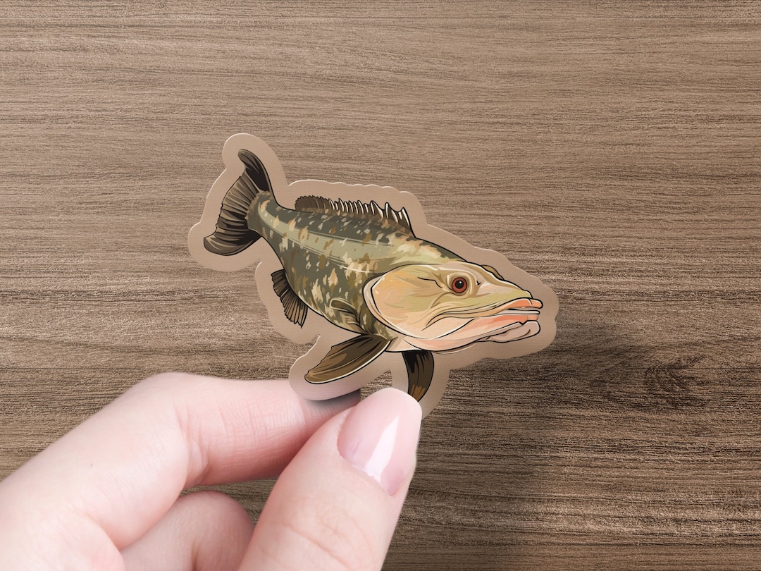 Flathead Catfish Sticker, Animal Decal, Laptop, Car Window Decal, Water ...