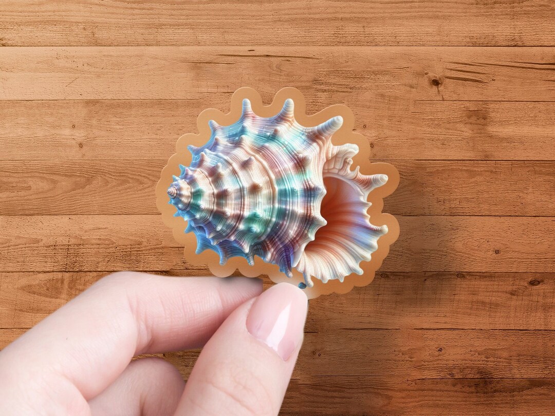 Colorful Seashell Sticker, Vibrant Ocean Decal, Laptop and Water Bottle ...