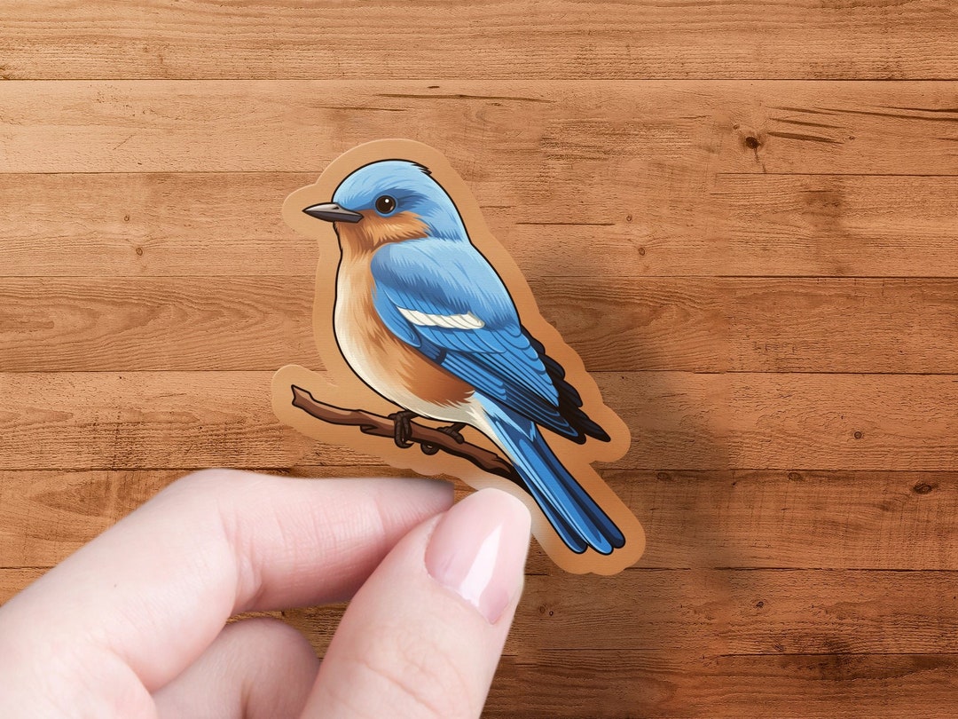 Eastern Bluebird Sticker, Bird Watcher Decal, Laptop, Car Window Decal ...