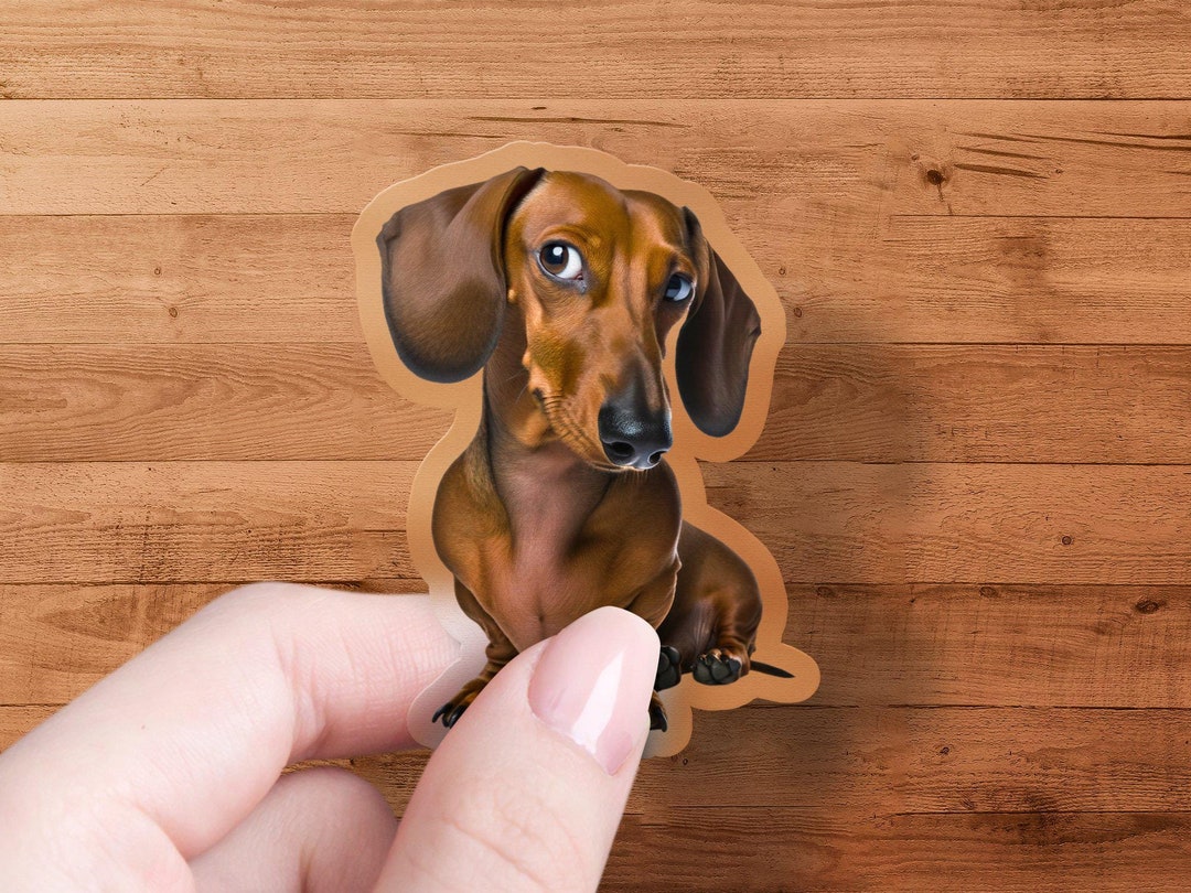 Funny Dachshund Side-eye Look Sticker, Cute Dachshund Vinyl Sticker ...