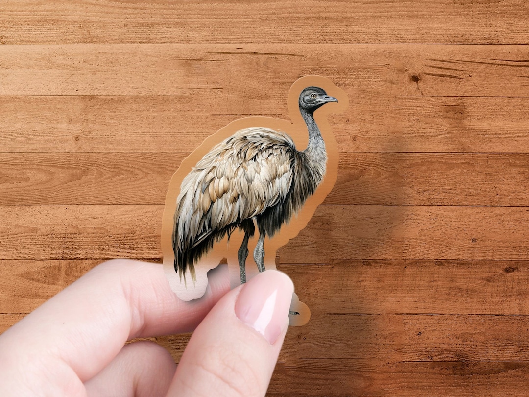 Emu Sticker, Cute Animal Decal, Laptop, Car, Water Bottle, Premium ...