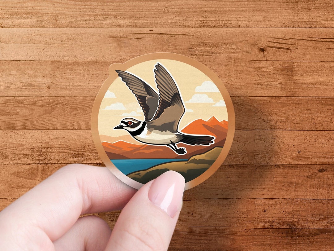 Killdeer Sticker, Bird Watcher Decal, Laptop, Car Window Decal, Water ...
