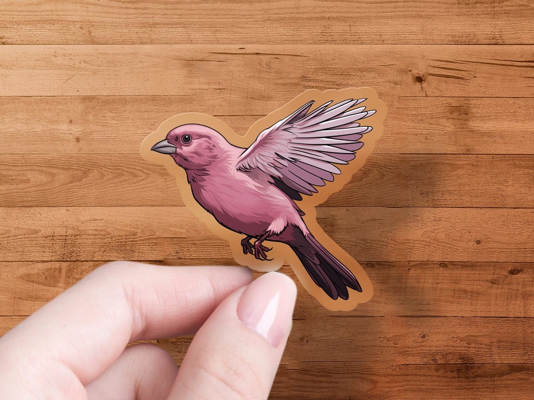 Purple Finch Sticker, Bird Watcher Decal, Laptop, Car Window Decal ...