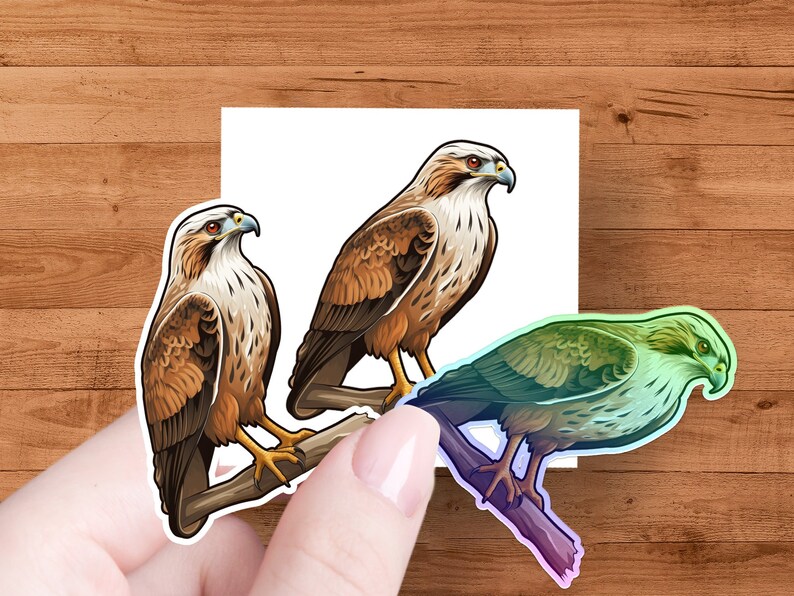 Red-tailed Hawk Sticker, Bird Watcher Decal, Laptop, Car Window Decal ...