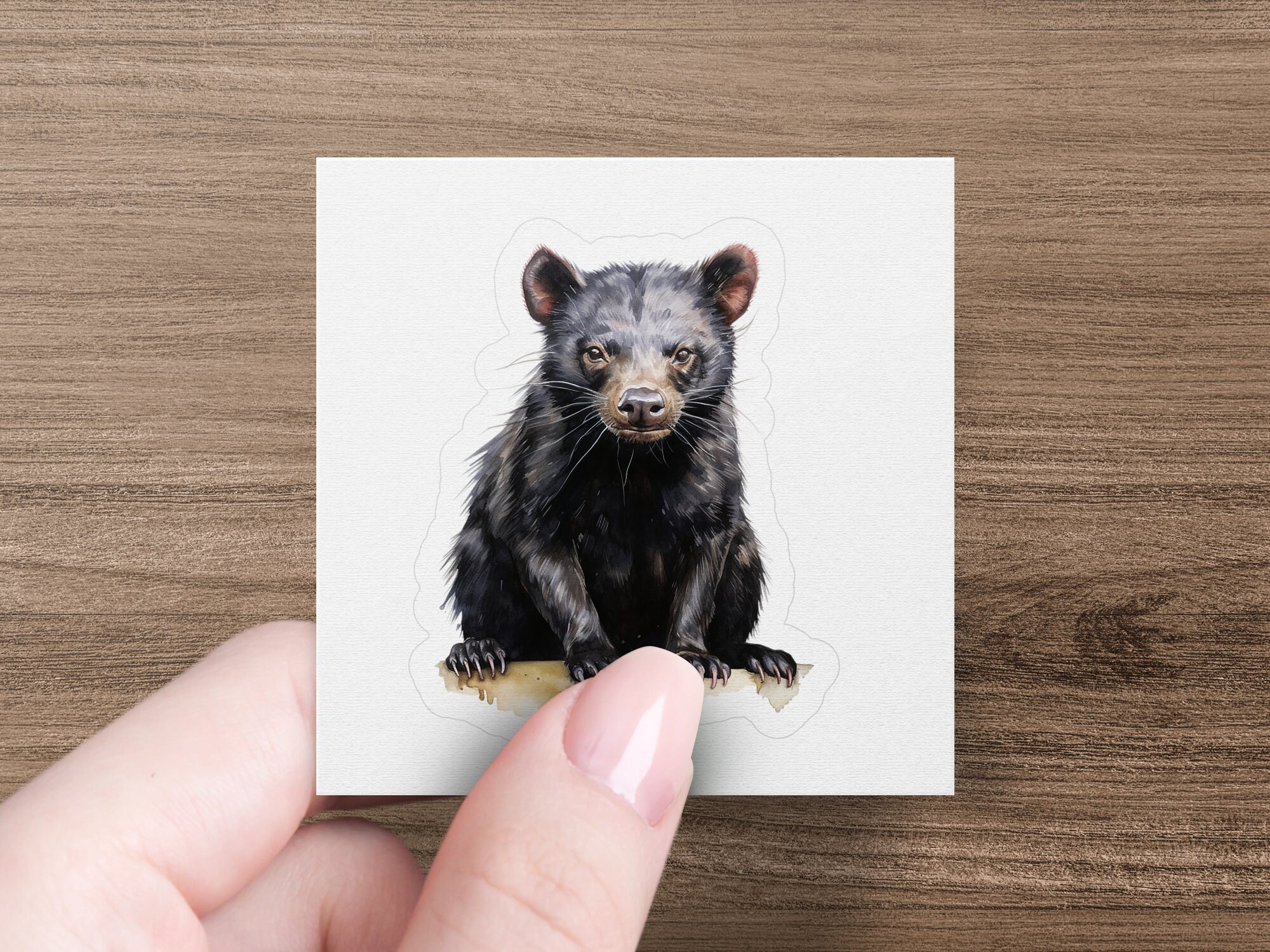 Tasmanian Devil Sticker Cute Animal Decal Laptop Car Water - Etsy