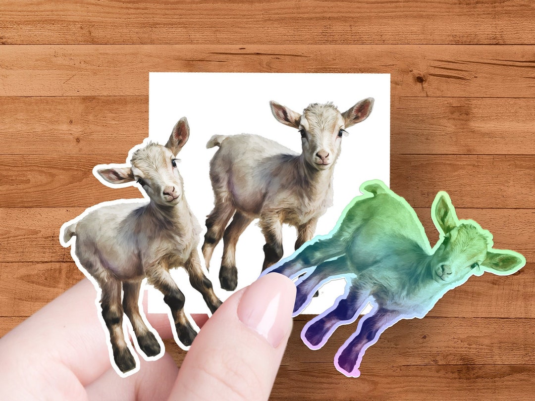 Baby Goat Sticker, Farm Animal Decal, Goat Decal, Goat Lover Gift, Goat ...