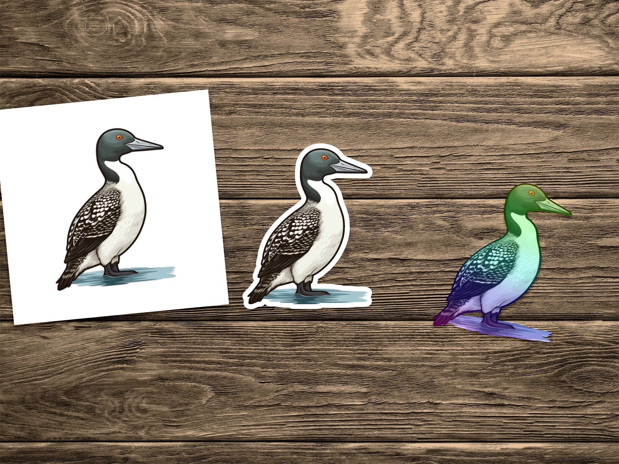 Common Loon Sticker Bird Watcher Decal Laptop Car Window - Etsy