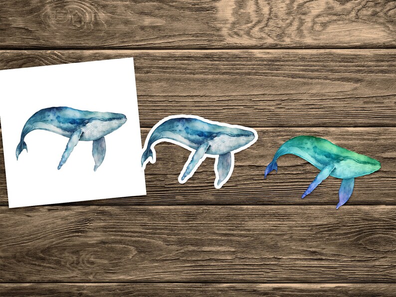 Blue Whale Sticker Vinyl Decal Sea Animal Sticker Premium - Etsy