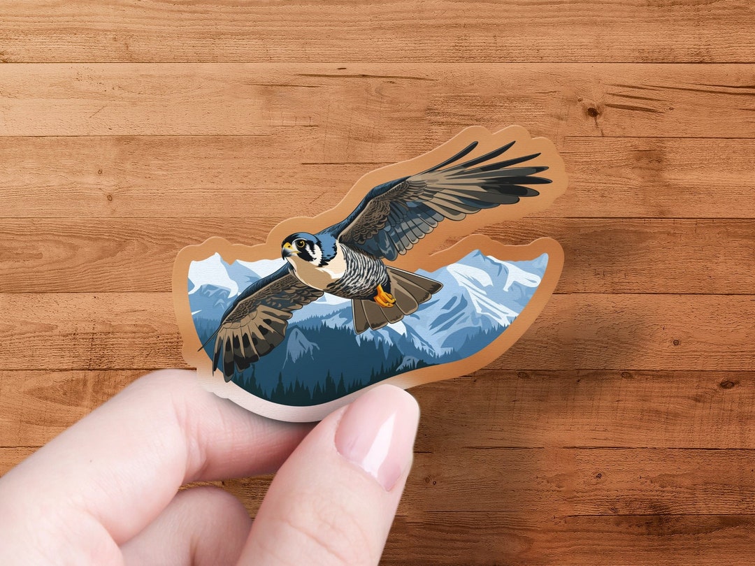 Peregrine Falcon Sticker Bird Watcher Decal Laptop Car - Etsy