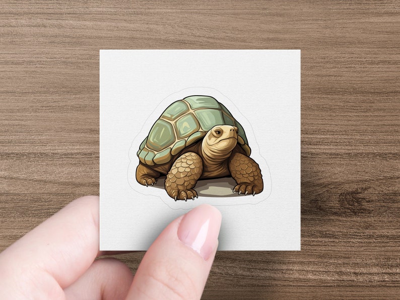 Galapagos Tortoise Sticker, Animal Decal, Laptop, Car Window Decal ...