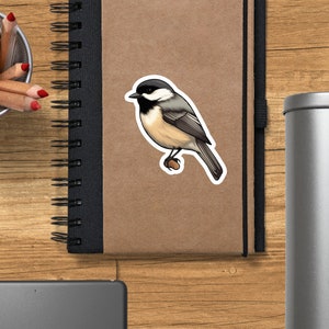 Black-capped Chickadee Sticker, Bird Watcher Decal, Laptop, Window ...