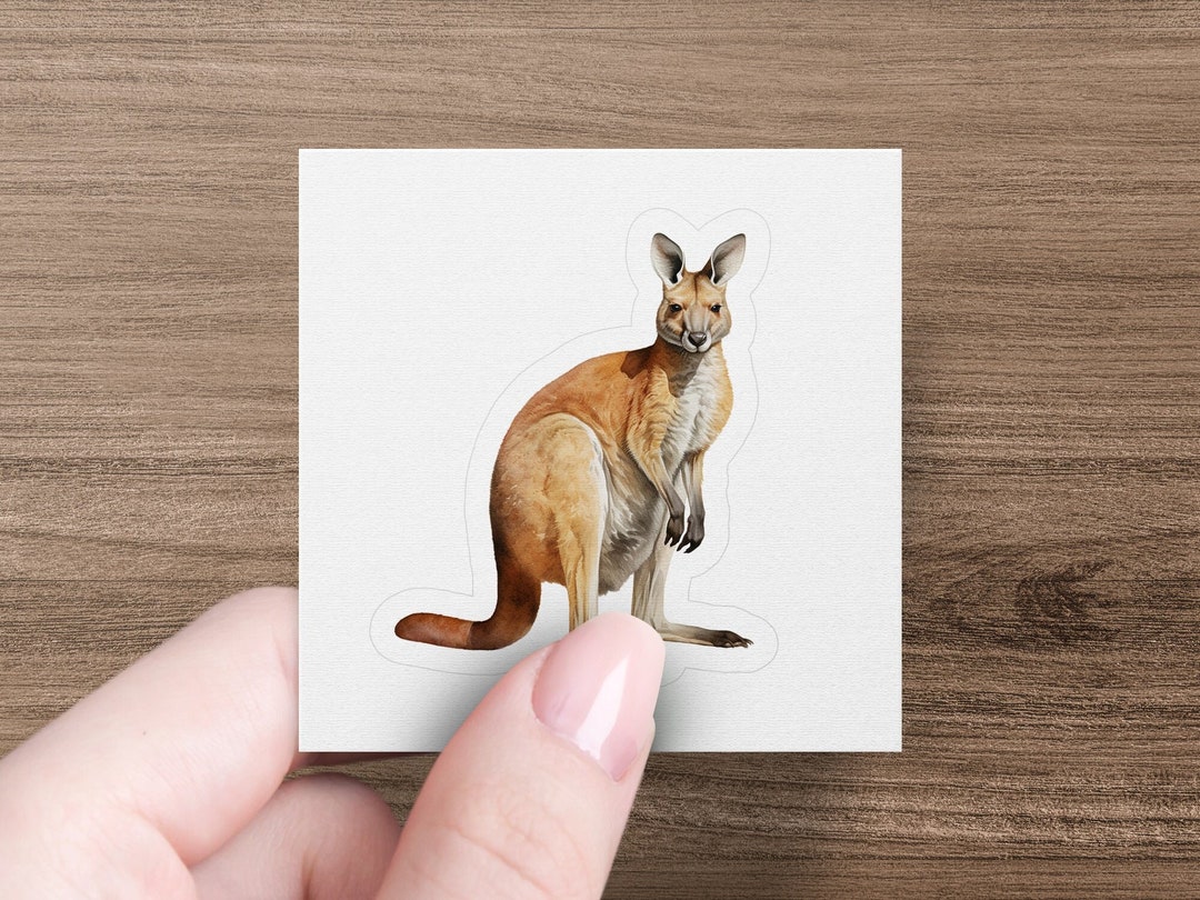 Wallaby Sticker: Waterproof Vinyl Decal, Laptop, Car, Water Bottle - Etsy